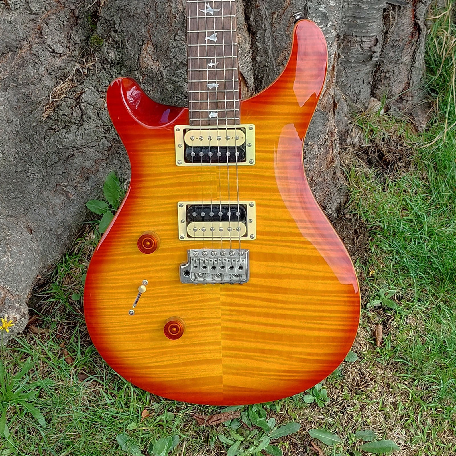prs guitars